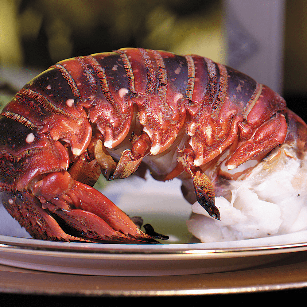 Buy Maine Lobster Tails Mail Order Online - Alaskan Harvest Seafood